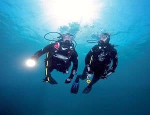 NEW ZEALAND DIVING A destination for everyone